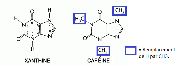 Présentation :: Tpe Guronsan & Caféine